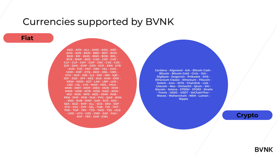 How do currencies work at BVNK? – BVNK Help Centre